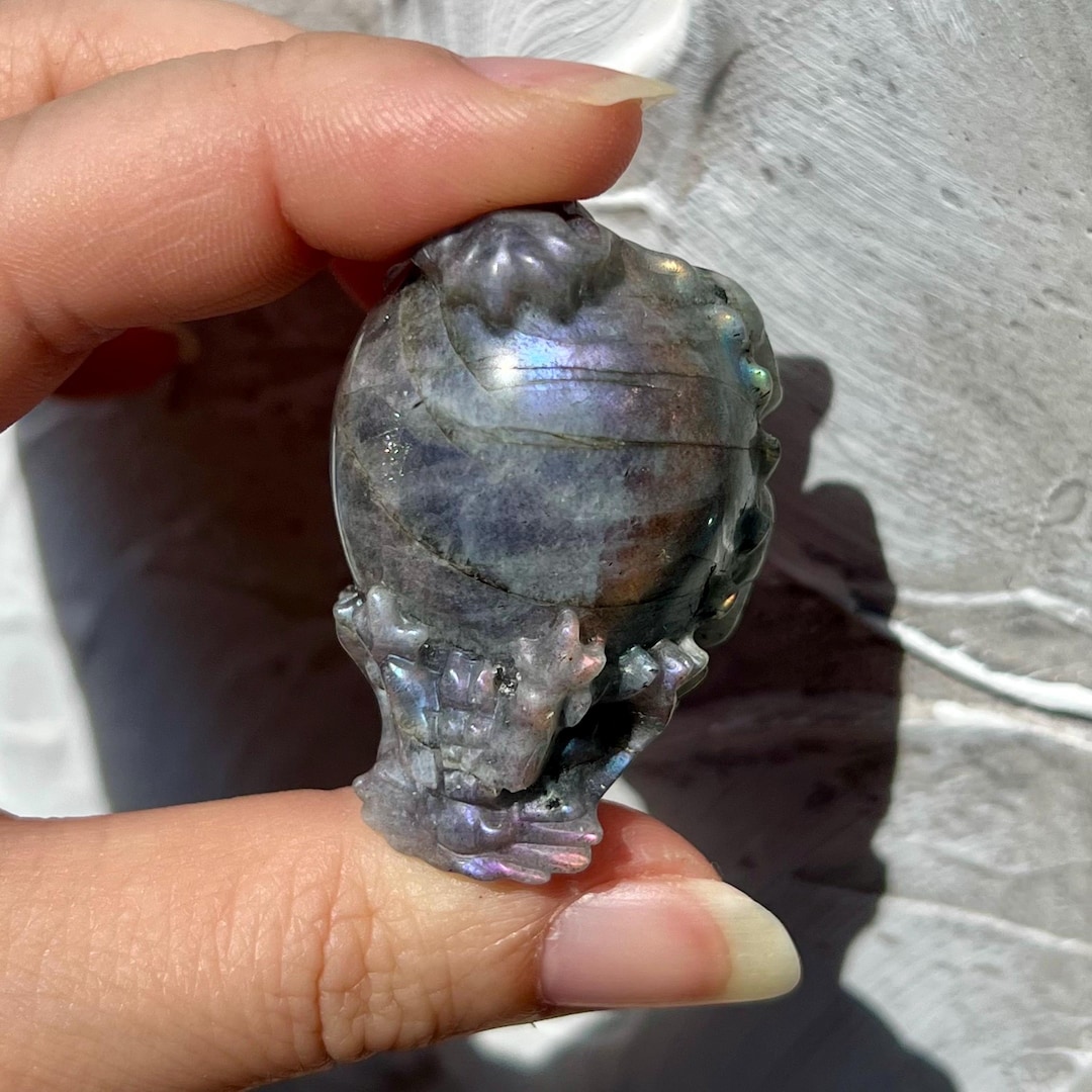 Labradorite Dragon Turtle / Colorful Flash Labradorite - Etsy