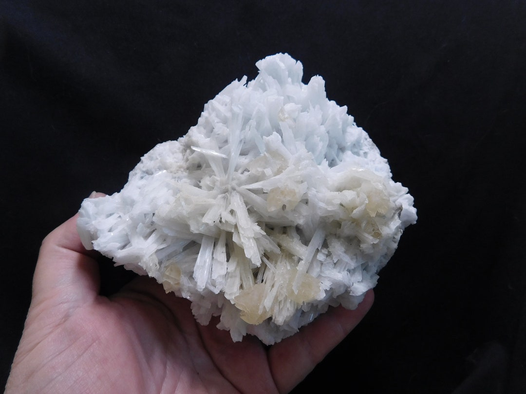 Bladed Celestite (celestine) With Calcite From Clay Center, OH - Etsy
