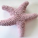 Starfish Sewing Pattern, PDF Sewing Pattern, Pillow Pattern, Minky Dot ...
