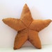 Starfish Sewing Pattern, PDF Sewing Pattern, Pillow Pattern, Minky Dot ...