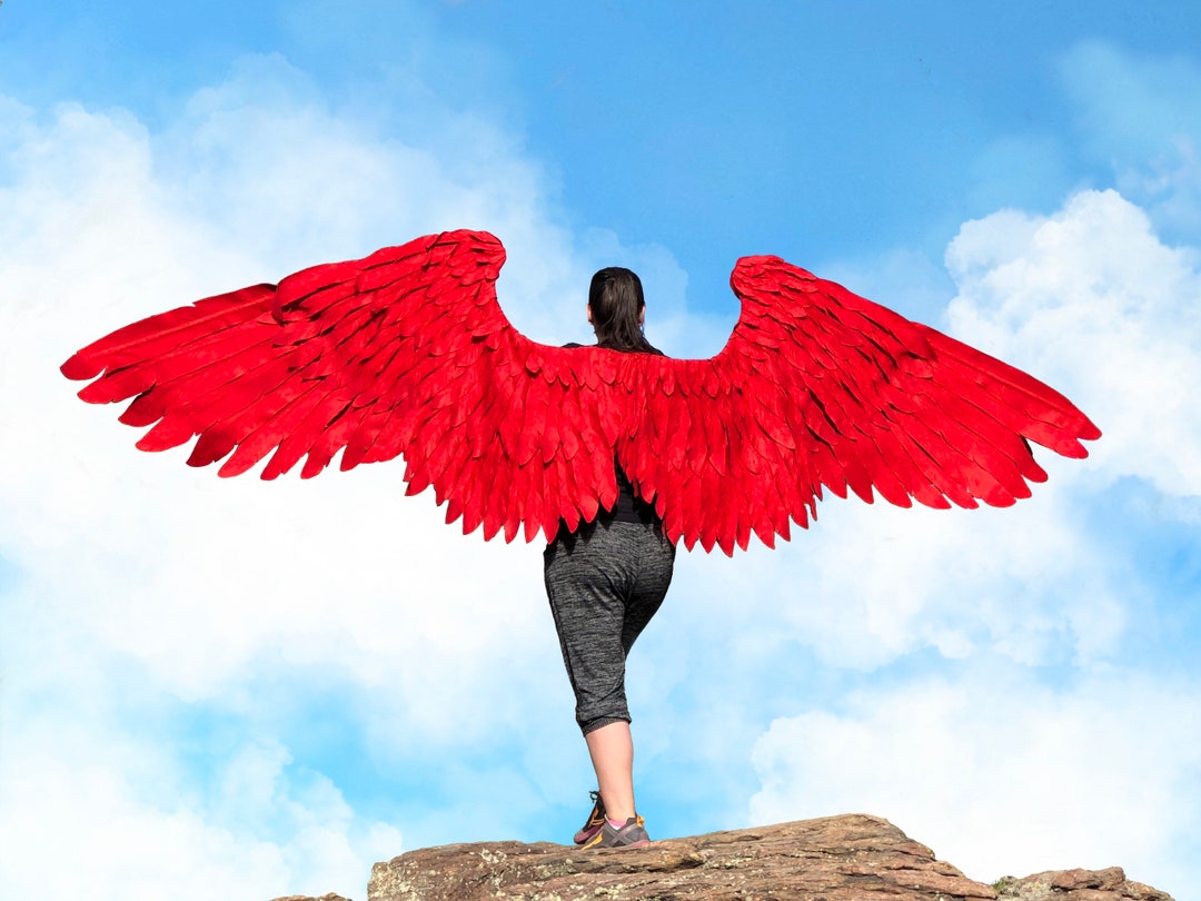 Large Feathered Wings Custom Made - Etsy