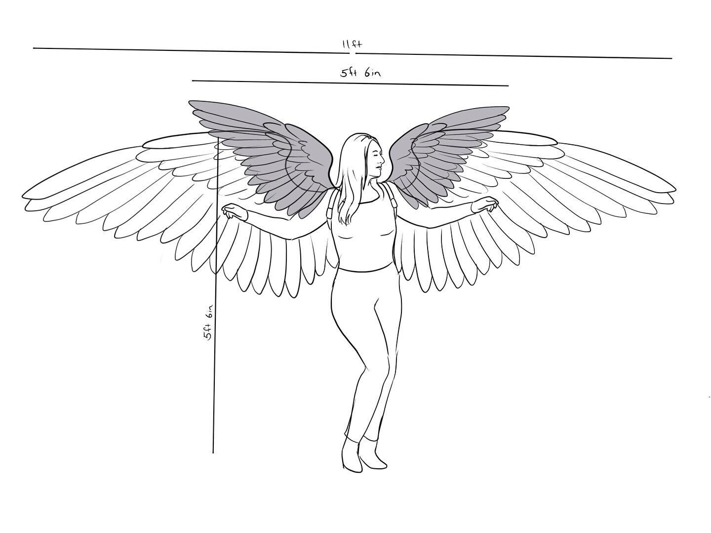 Human Wings Drawing