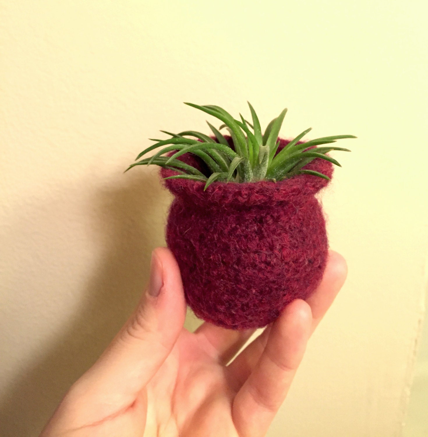 Air Plant Holder, Mini Felted Pot - Etsy