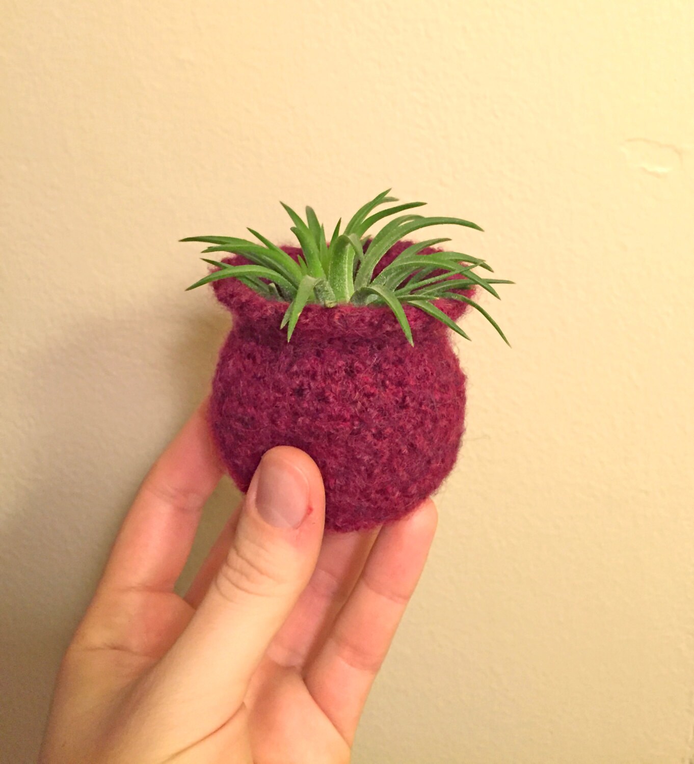 Air Plant Holder, Mini Felted Pot - Etsy