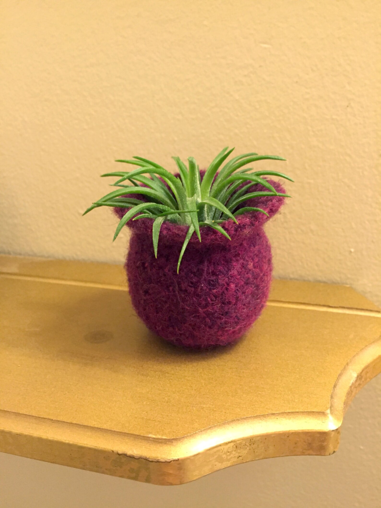 Air Plant Holder, Mini Felted Pot - Etsy