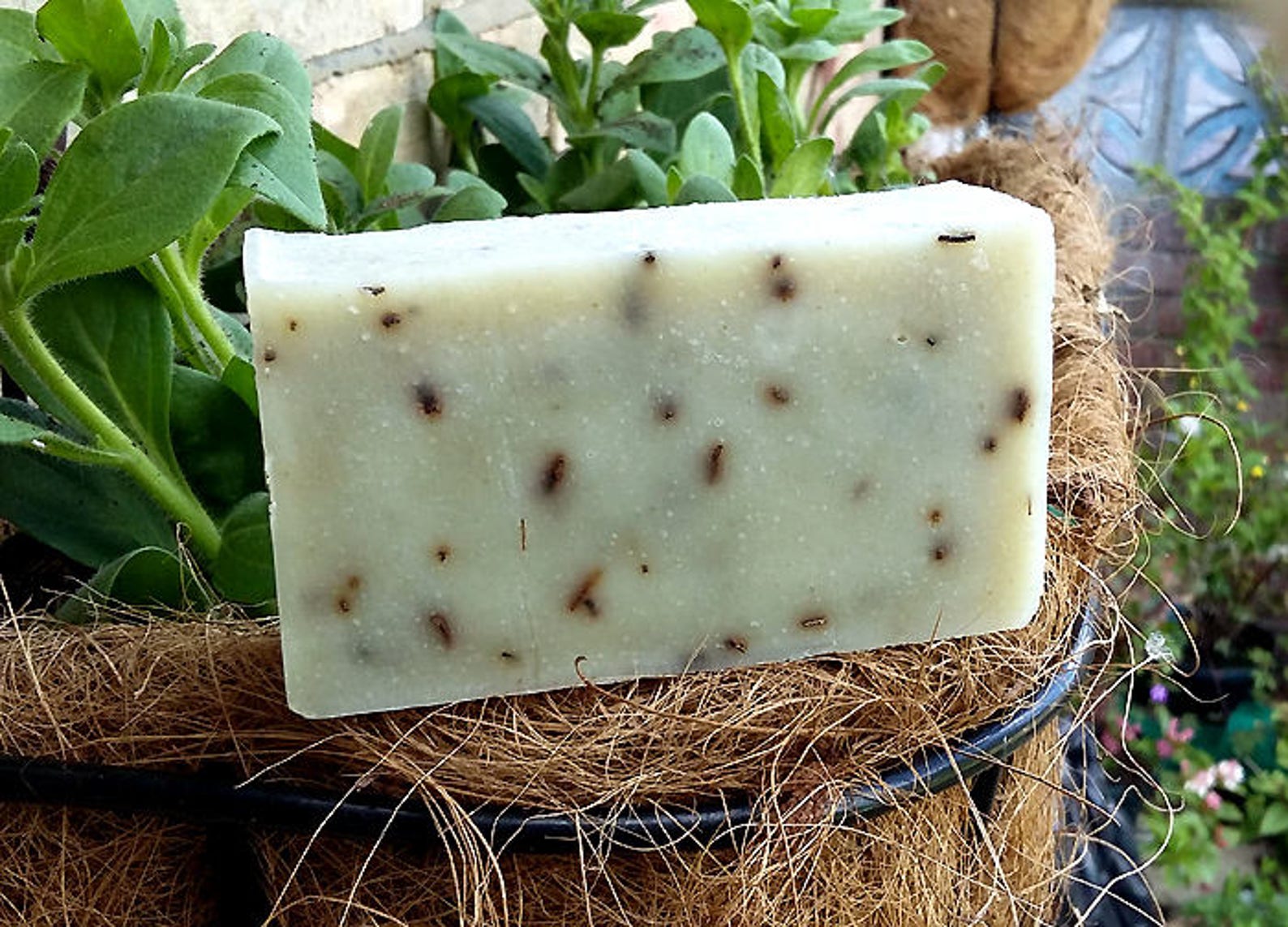 Gardener's 'scrubby' Soap With Ground Pumice - Etsy UK