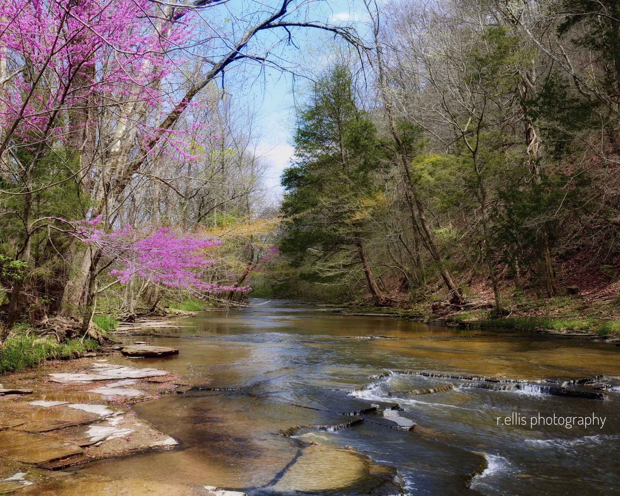 Photography Wall Decor Landscape Print Arrival Of Spring In | Etsy