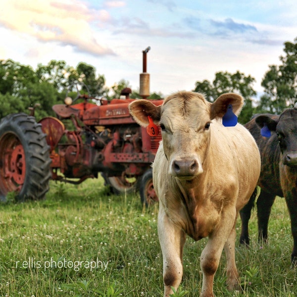 Farm Photography - Etsy