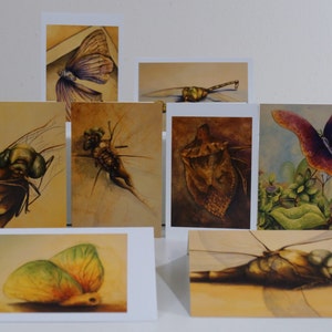 Insects Note Card Set, 10 Card Set - Etsy