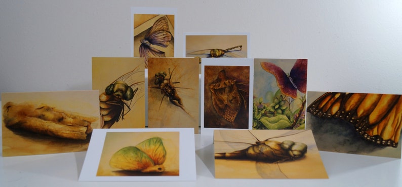 Insects Note Card Set, 10 Card Set - Etsy