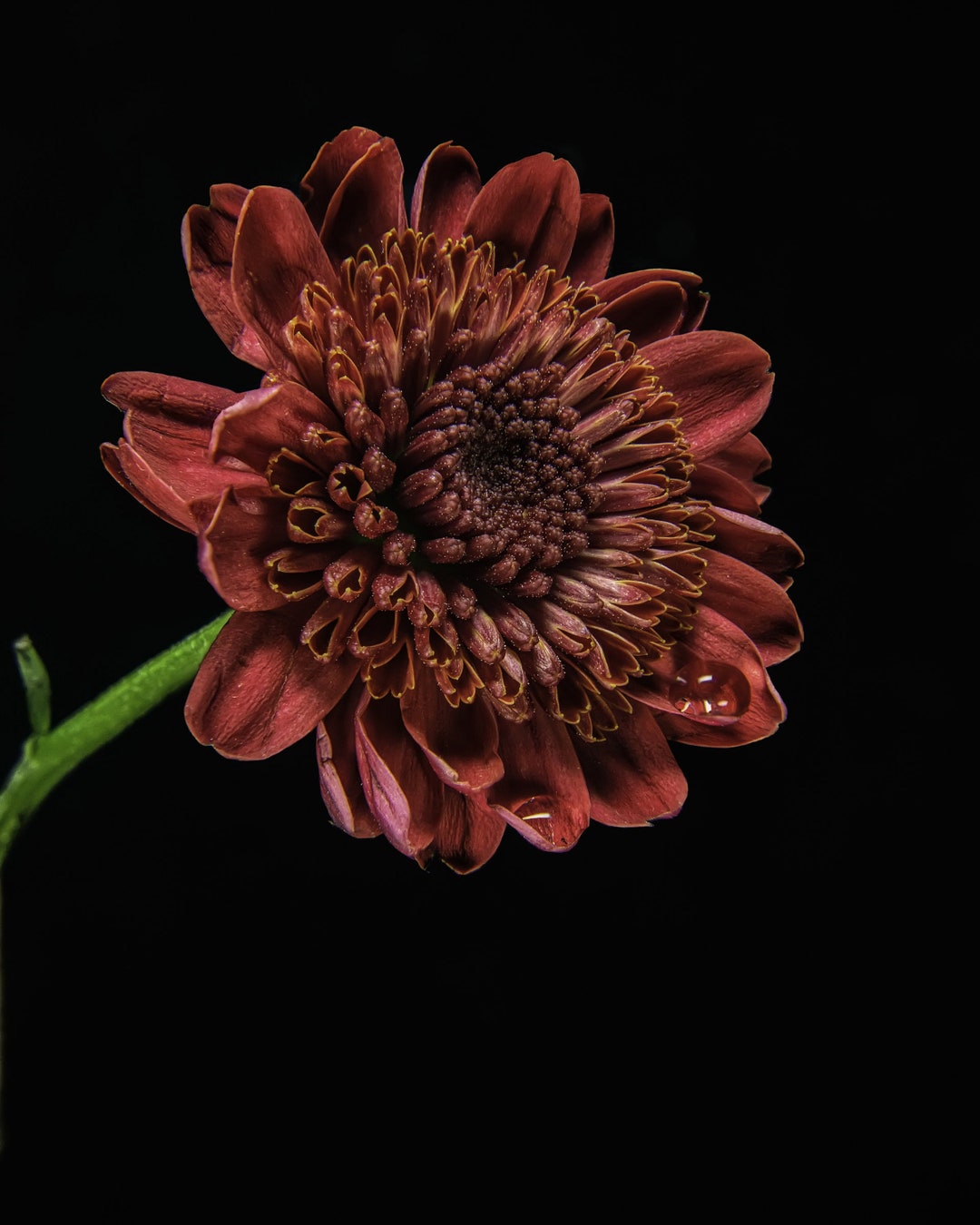 Ruby Hue - Etsy