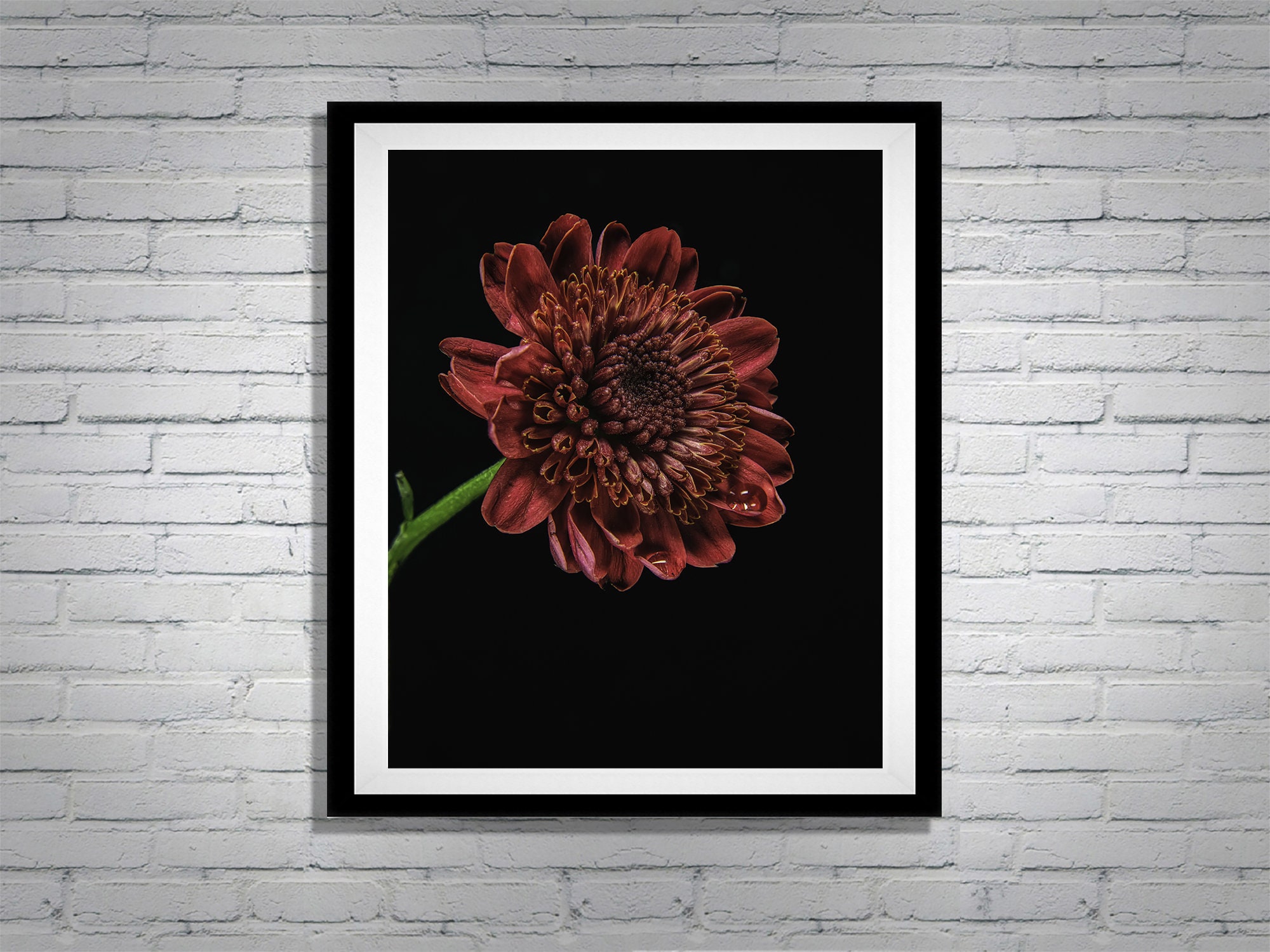 Ruby Hue - Etsy