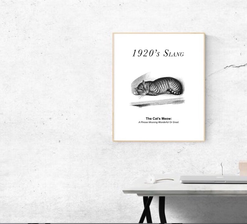 cats-meow-definition-print-1920s-slang-definition-print-etsy