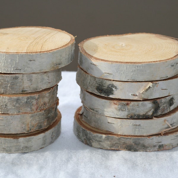 Birch Tree Slices - Etsy