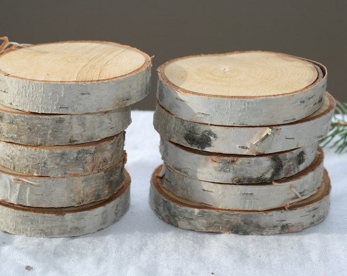 15 Birch Discs- Wood Discs, Birch Tree Slices - Etsy