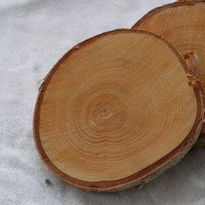 15 Birch Discs Wood Discs, Birch Tree Slices - Etsy