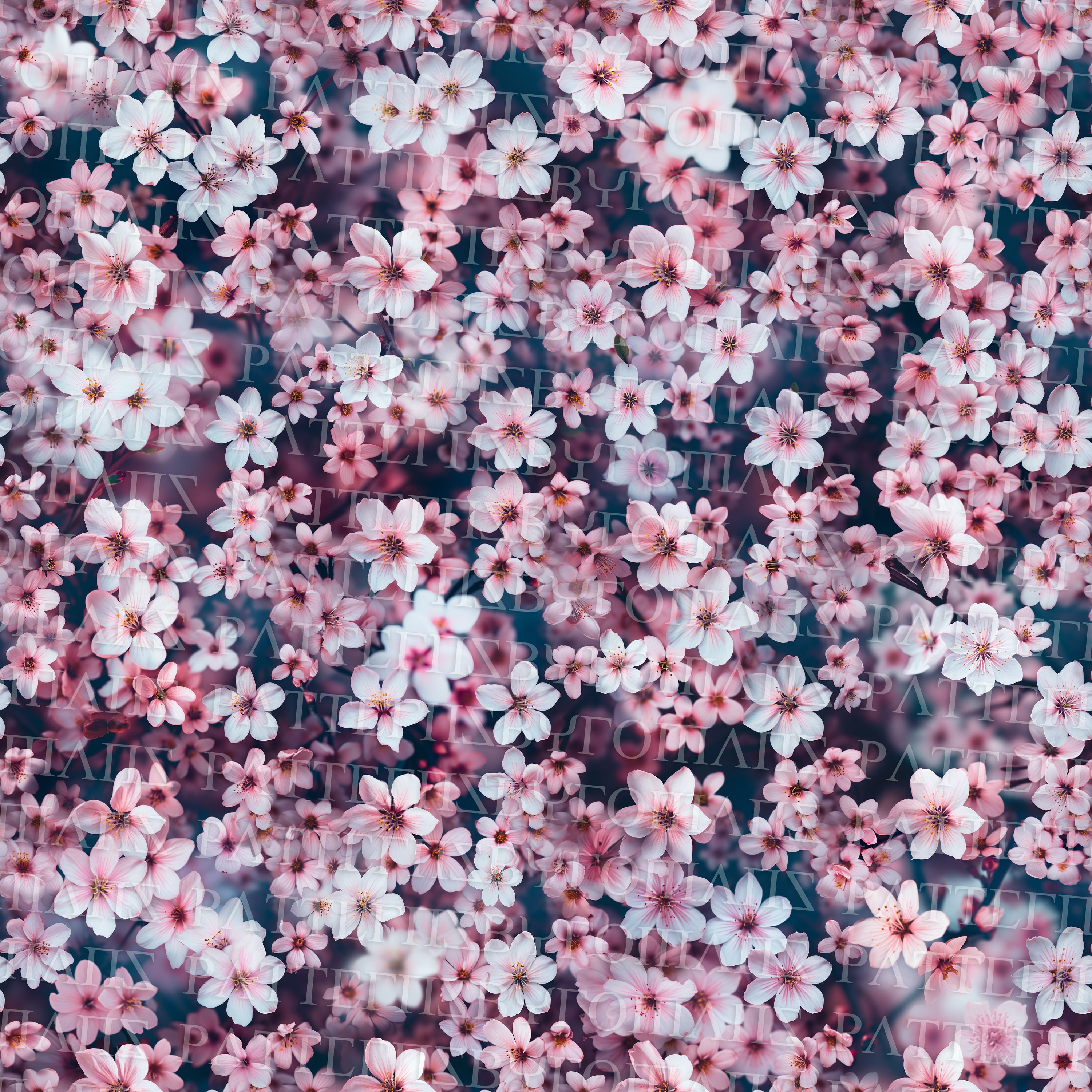 Sakura Cherry Blossoms Seamless Pattern Digital Paper, Sakura Backdrop ...