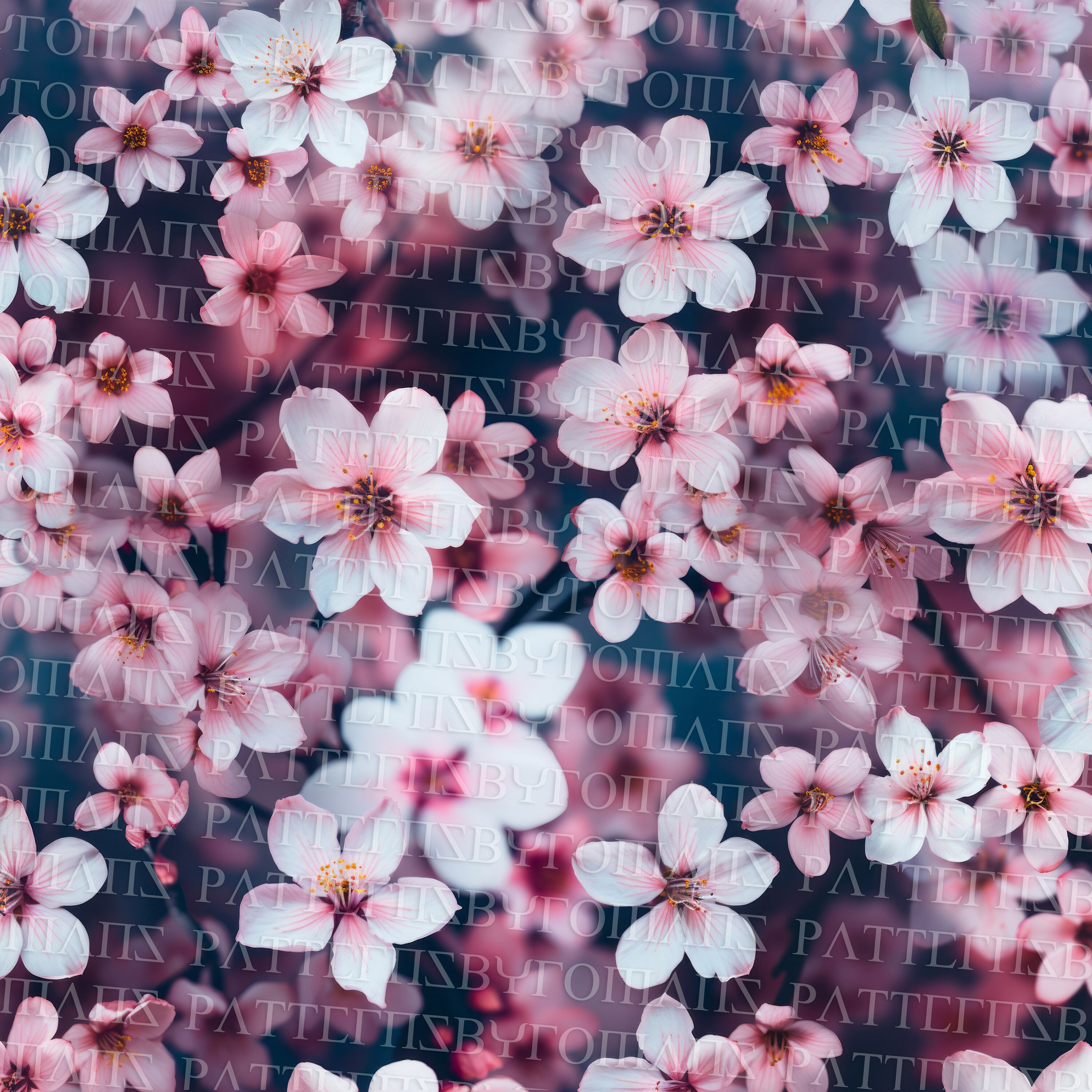 Sakura Cherry Blossoms Seamless Pattern Digital Paper, Sakura Backdrop ...