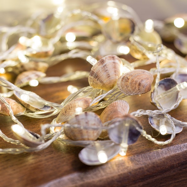Seashell Lights - Etsy