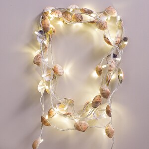 DIY Seashell Lights - Etsy