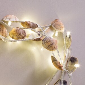DIY Seashell Lights - Etsy