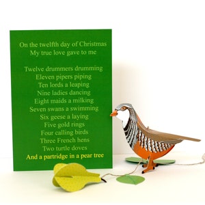 A Partridge in a Pear Tree Christmas Card A Partridge in a - Etsy UK