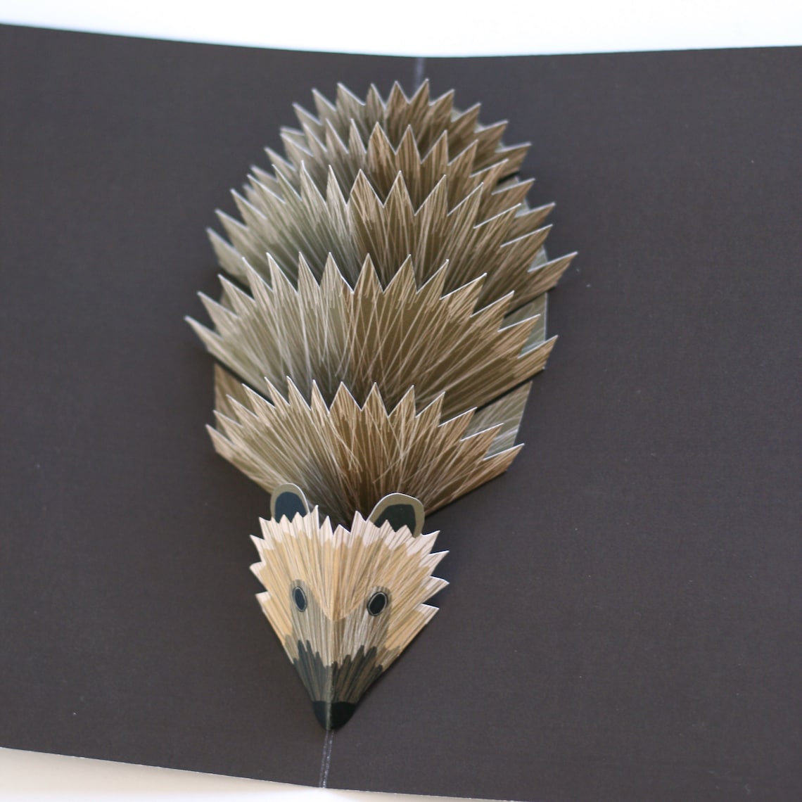 Igel Pop-up Karte Igel Karte zum Geburtstag Karte für ihn - Etsy Schweiz