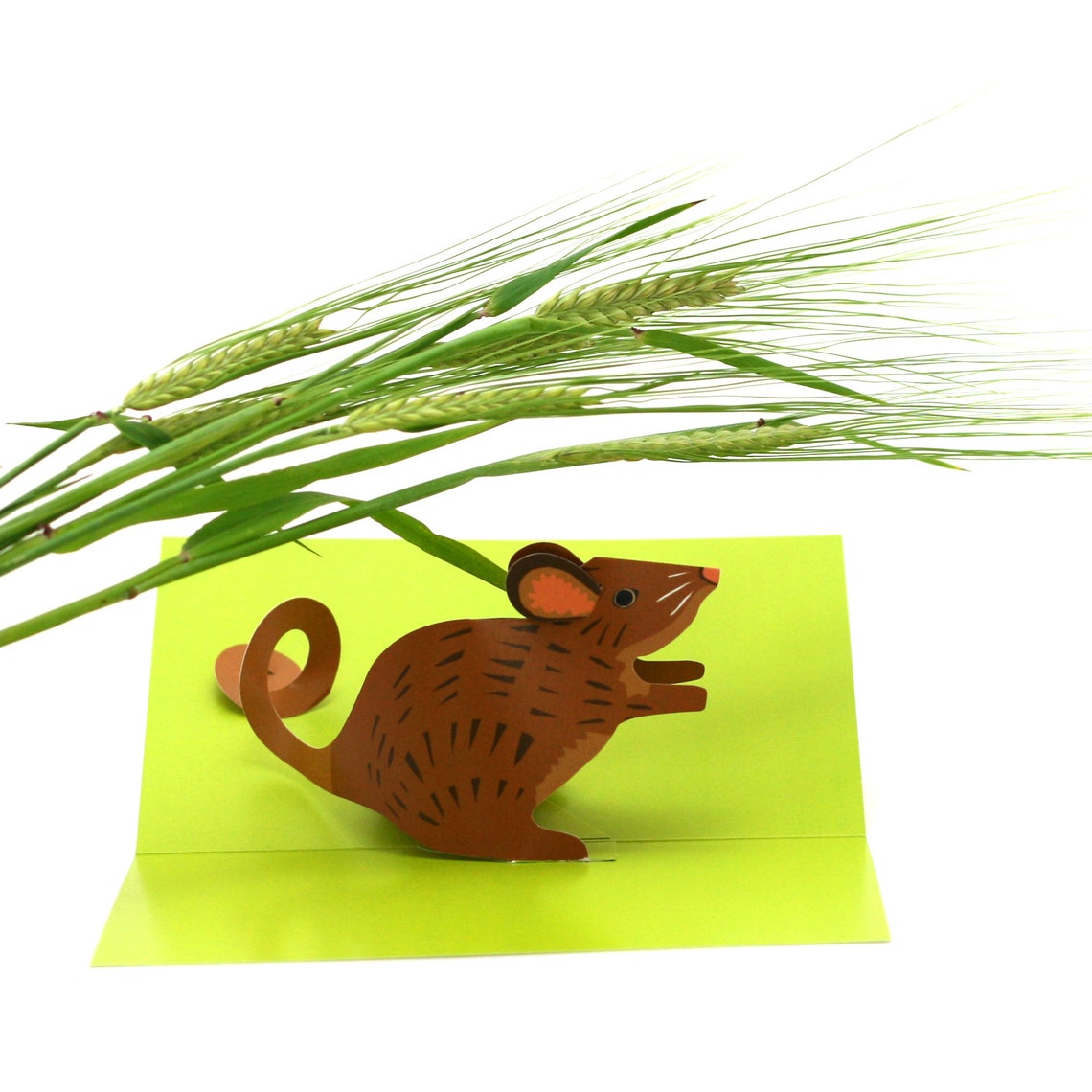 Pop-up Mouse Card Pop up for Birthday Card for Him Card for - Etsy