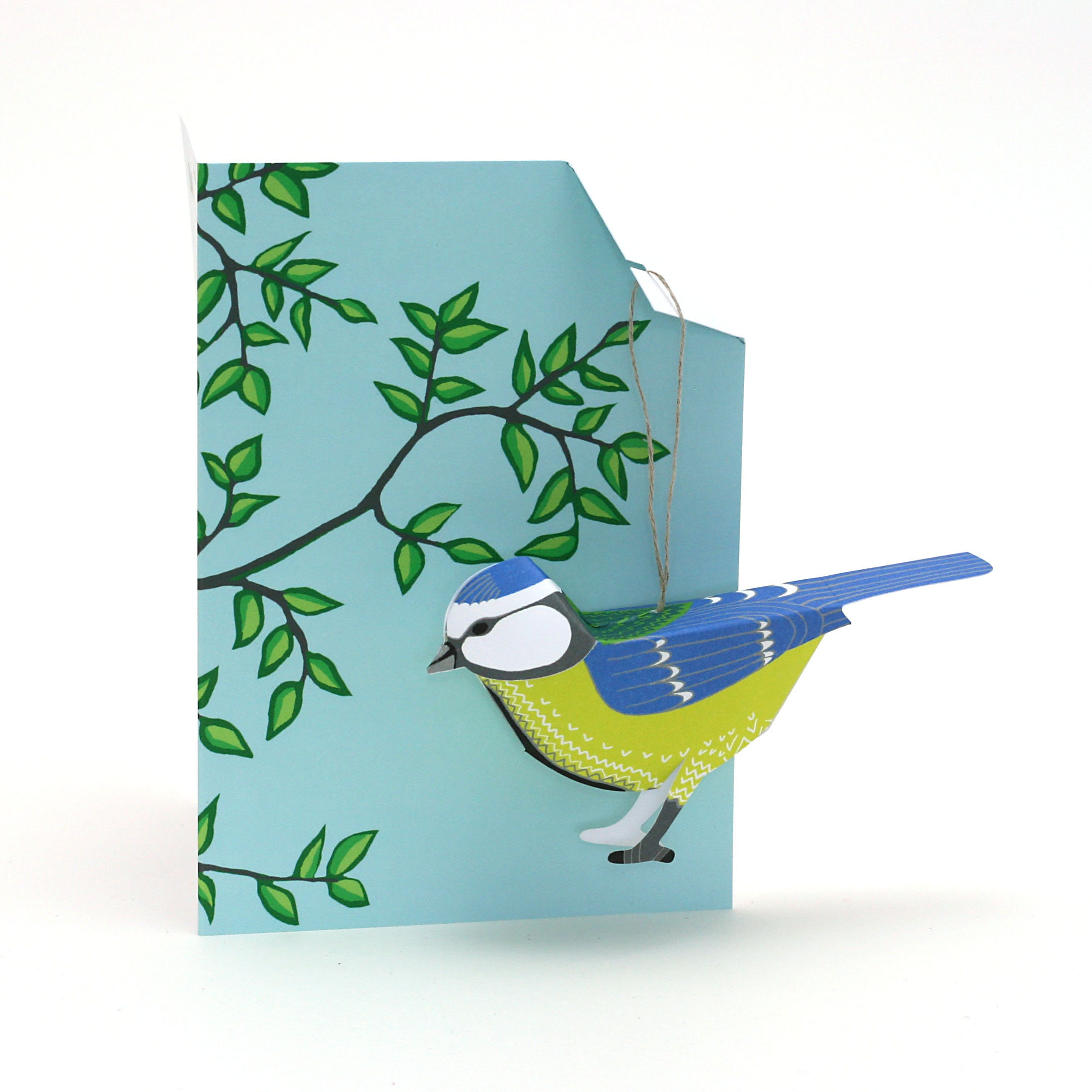 Blue Tit Pop-up Card: 3D Paper Bird Decoration - Etsy UK