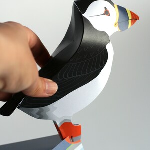 3D Puffin Pop-up Card: Eco-friendly Bird Sculpture - Etsy