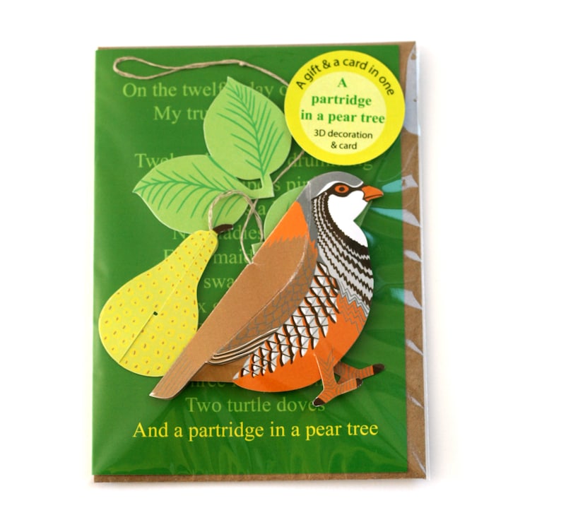 A Partridge in a Pear Tree Card Christmas Gift Partridge - Etsy UK