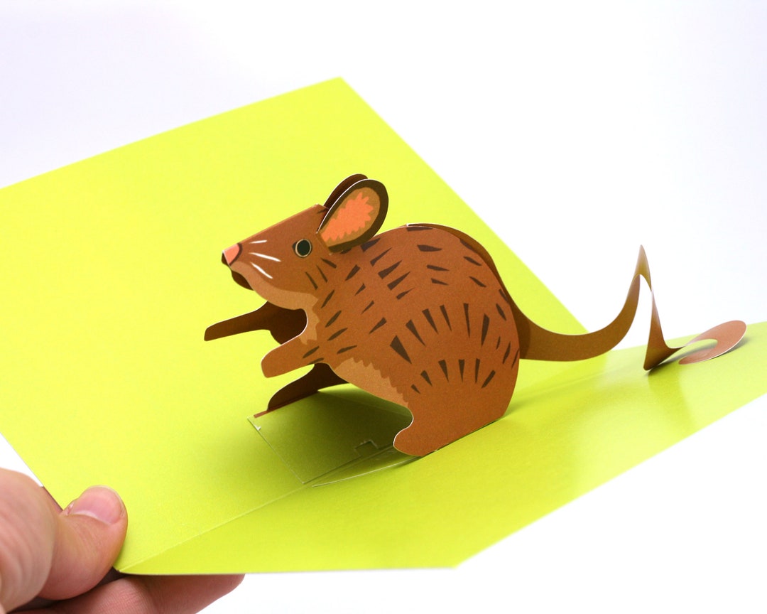 Pop-up Mouse Card, Pop up for Birthday, Card for Him, Card for Her ...