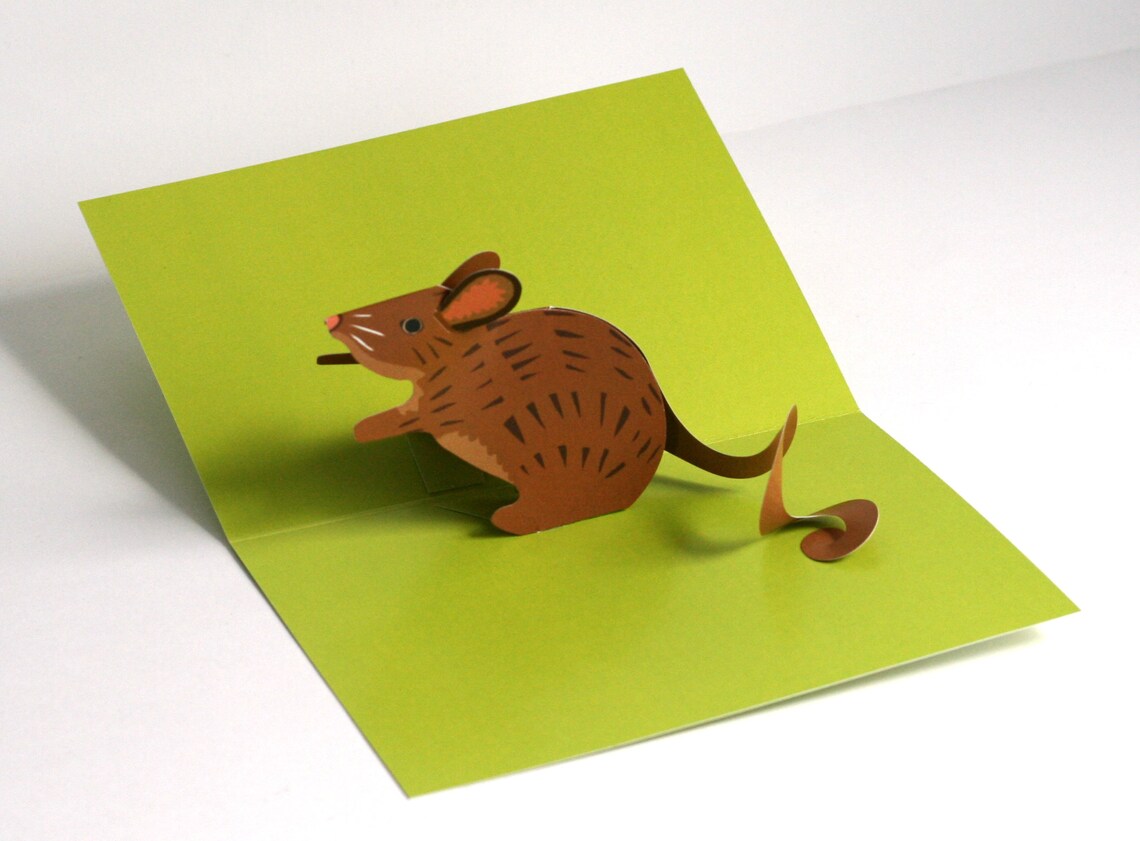 Pop-up Mouse Card Pop up for Birthday Card for Him Card for - Etsy