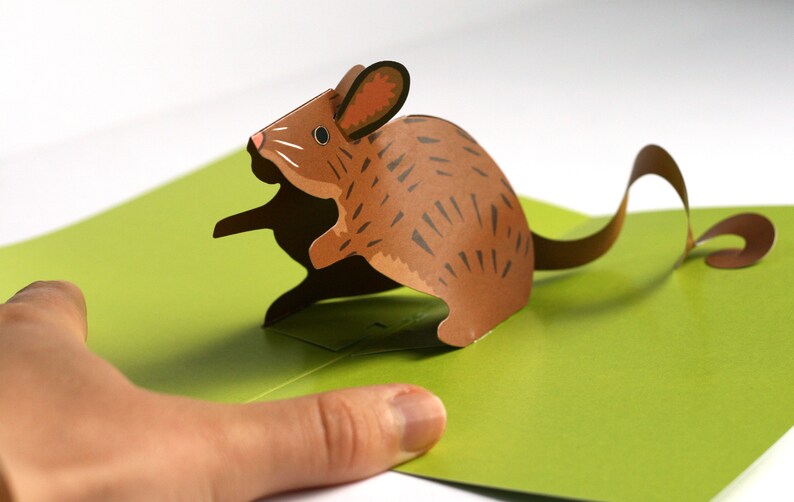 Pop-up Mouse Card Pop up for Birthday Card for Him Card for - Etsy