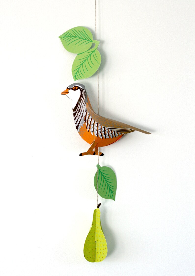 A Partridge in a Pear Tree Christmas Card A Partridge in a - Etsy UK