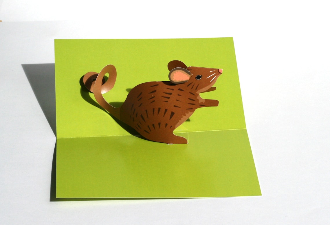 Pop-up Mouse Card Pop up for Birthday Card for Him Card for - Etsy