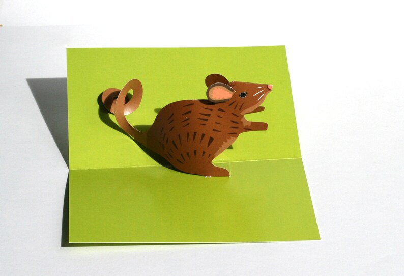 Pop-up Mouse Card Pop up for Birthday Card for Him Card for - Etsy
