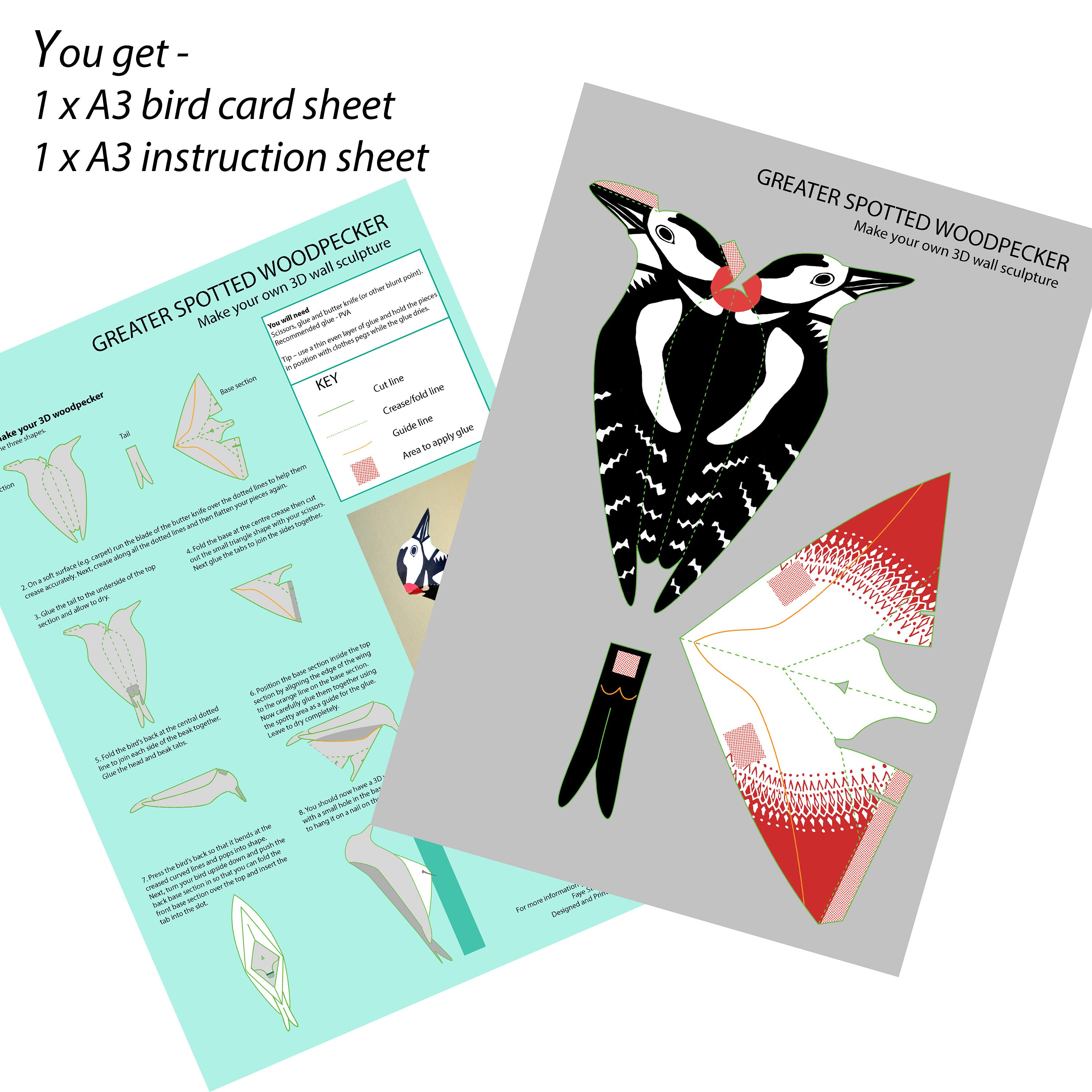 Wall Art, DIY Woodpecker, Paper Art Craft Project - Etsy