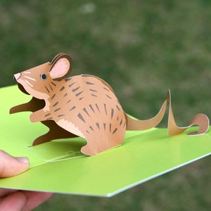 Pop-up Mouse Card, Pop up for Birthday, Card for Him, Card for Her ...