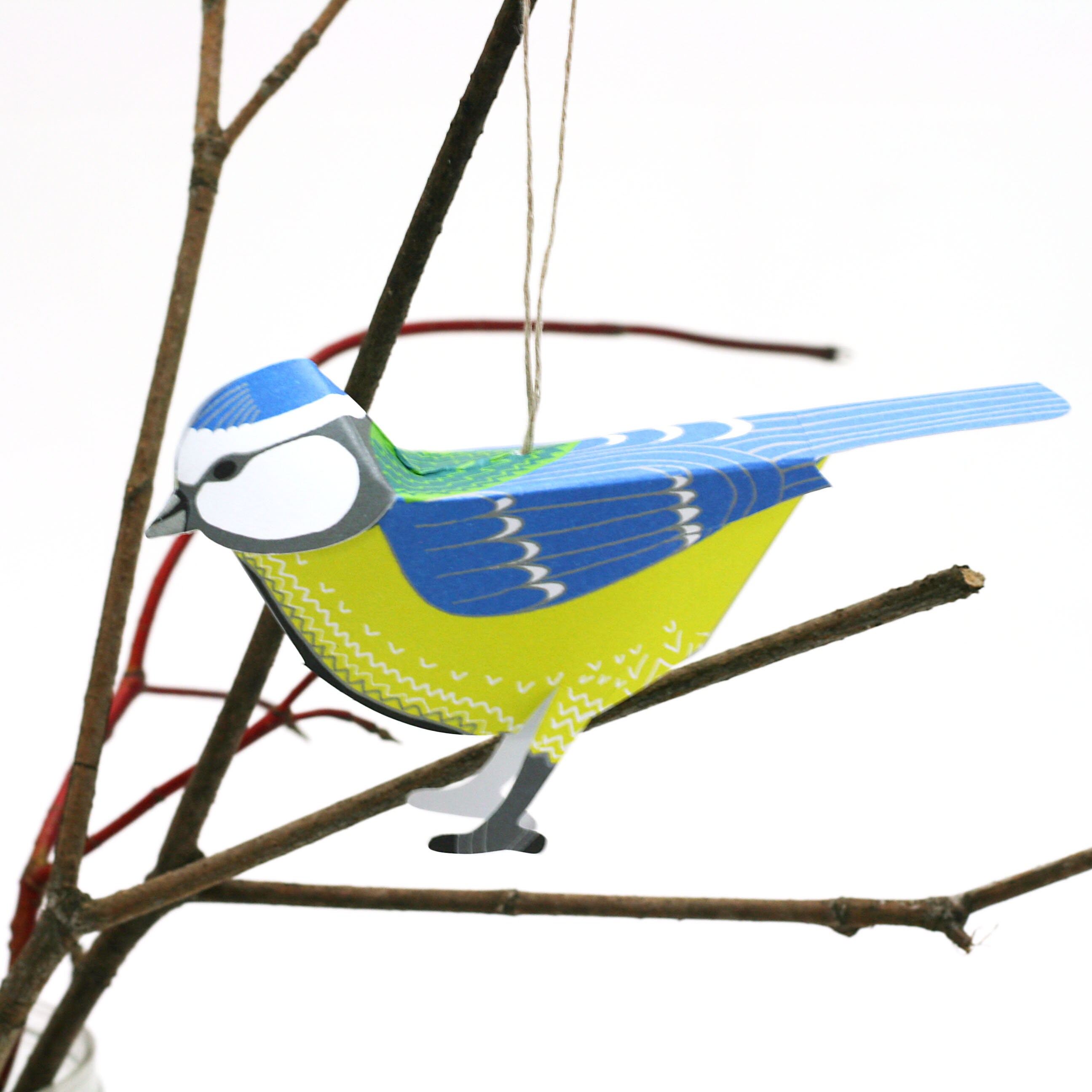 Blue Tit Pop-up Card: 3D Paper Bird Decoration - Etsy UK