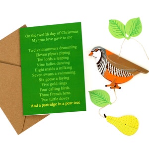 A Partridge in a Pear Tree Christmas Card A Partridge in a - Etsy UK
