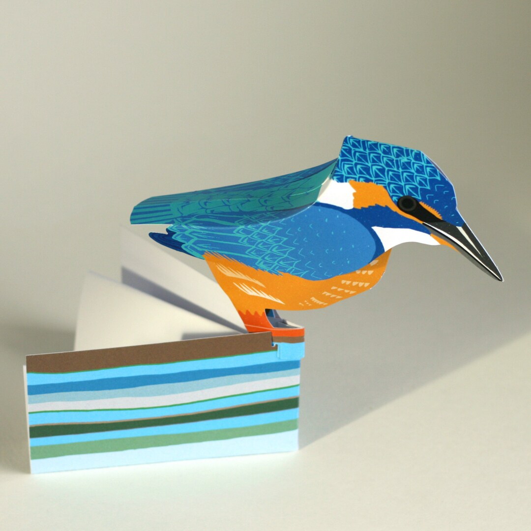 Kingfisher Pop up Card Pop up Birthday Card for Him Eco - Etsy UK