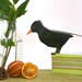 Blackbird Pop up Paper Bird Greeting Card, Sculpture Gift - Etsy UK