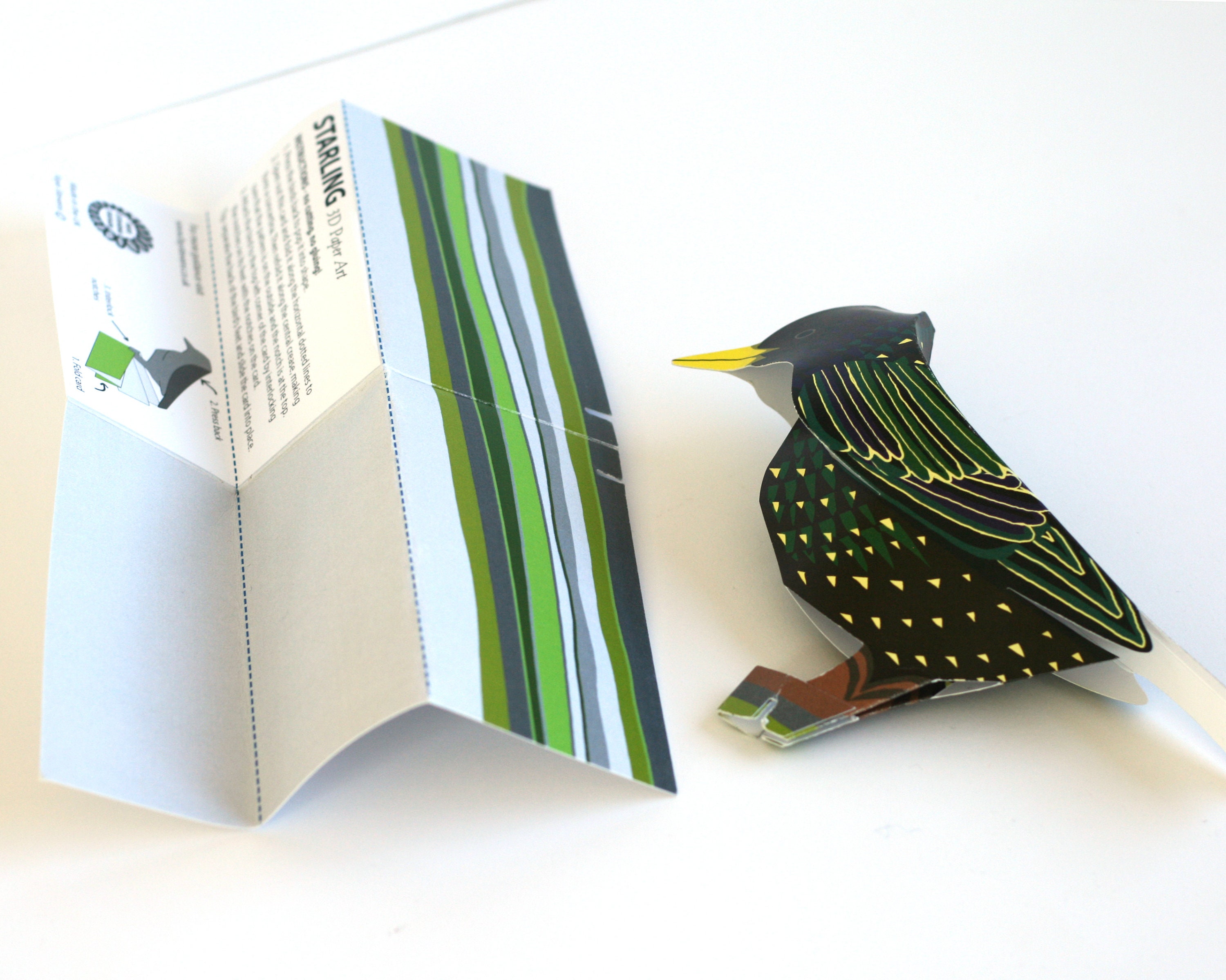 Starling Card Paper Art starling decoration starling gift | Etsy