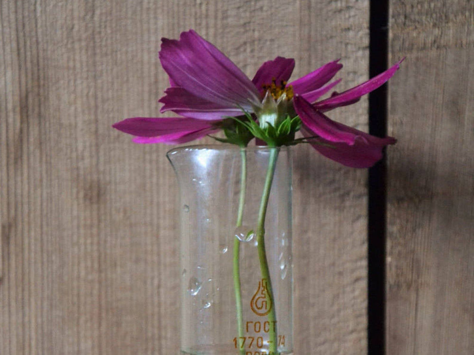 Vintage Measuring Glass Cup Laboratory Crucible Scientist - Etsy