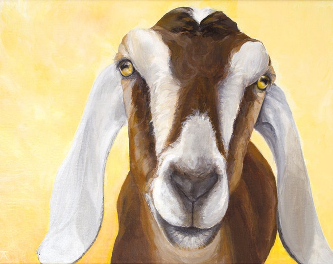 A4 Posters. Breeds of Goats - Etsy