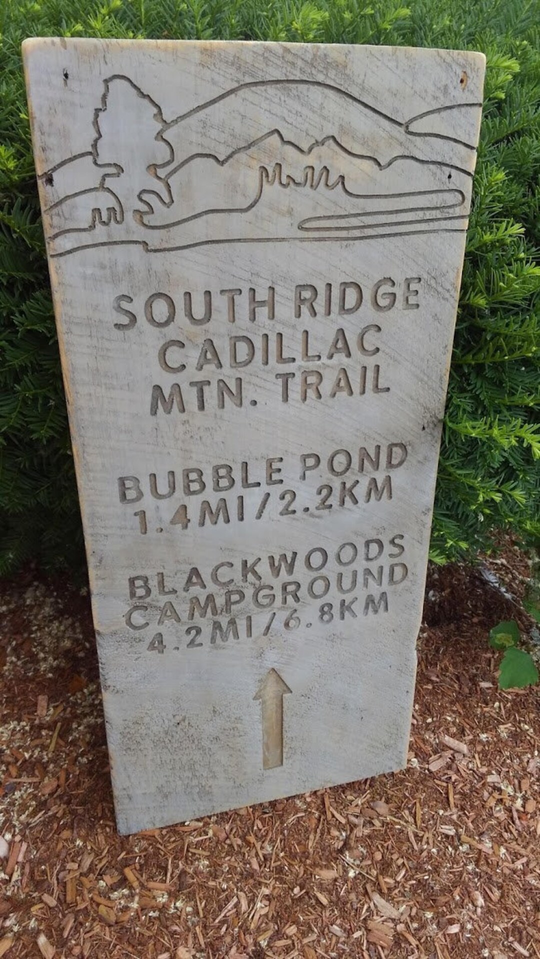 Acadia Trail Sign - Etsy