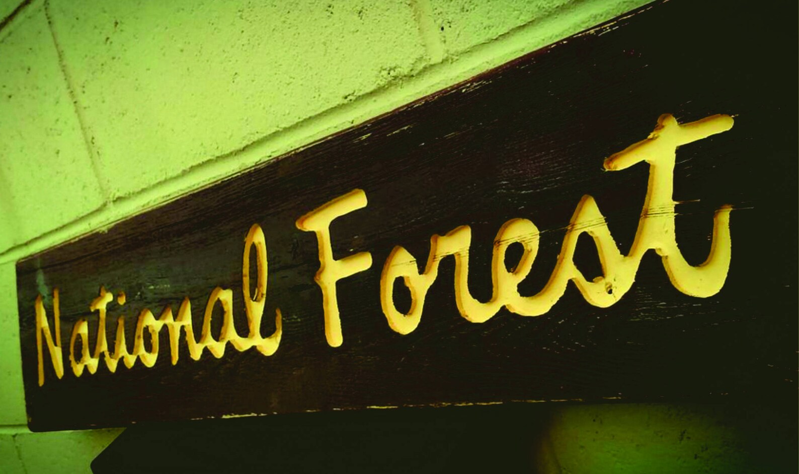 National Forest Script Header Trail Sign | Etsy