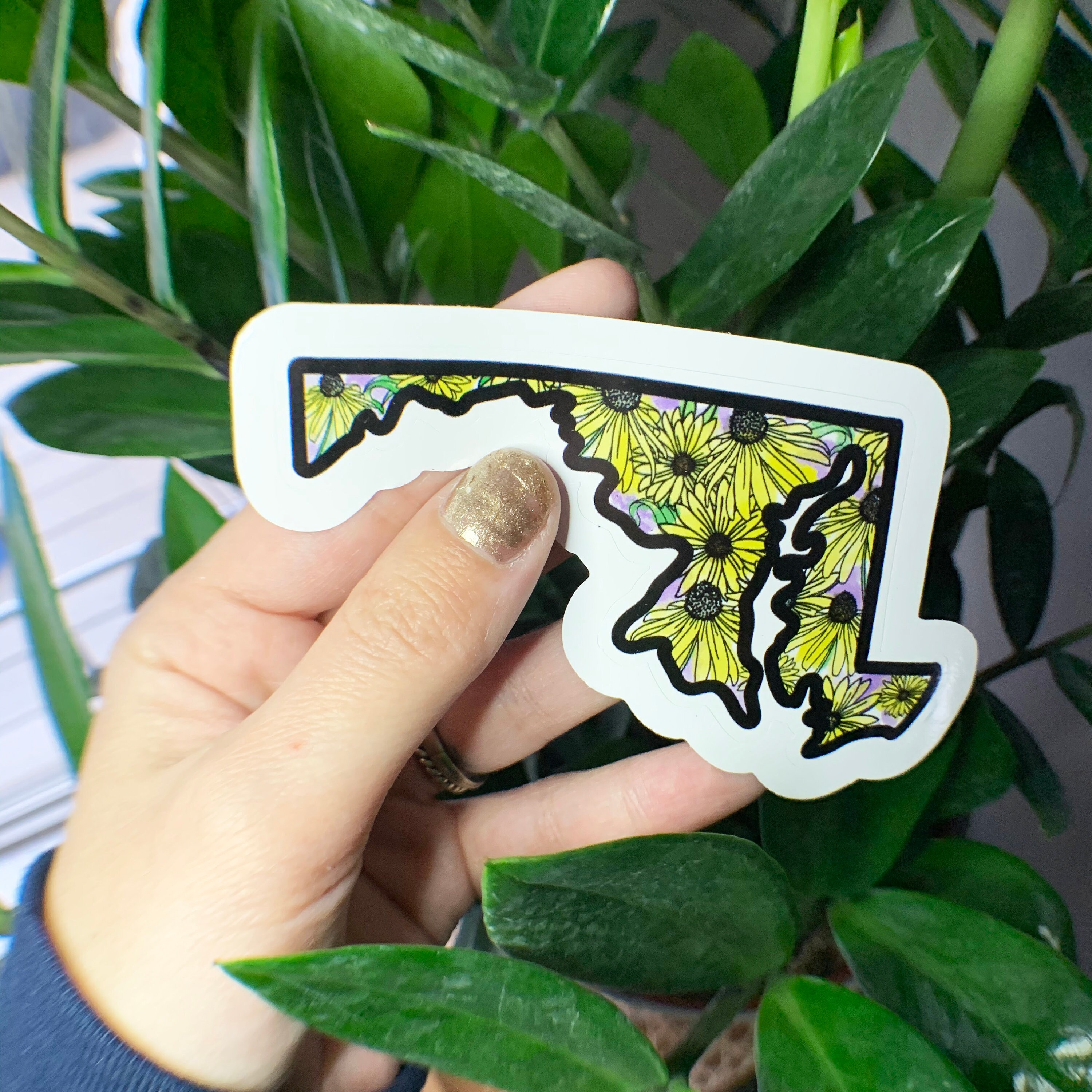 Maryland State Flower Sticker WATERPROOF - Etsy