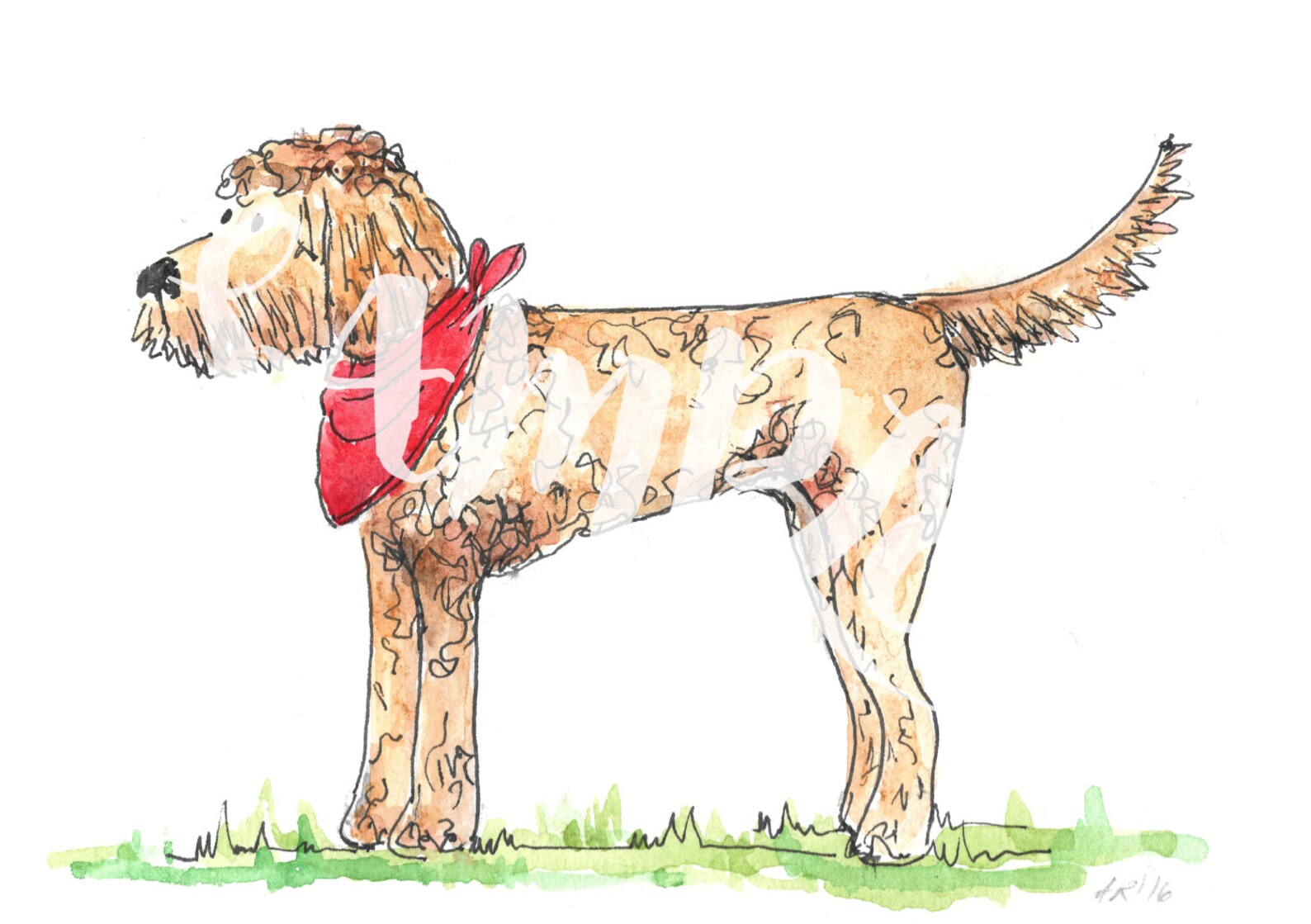 Indy the Goldendoodle Watercolour and Pen - Etsy